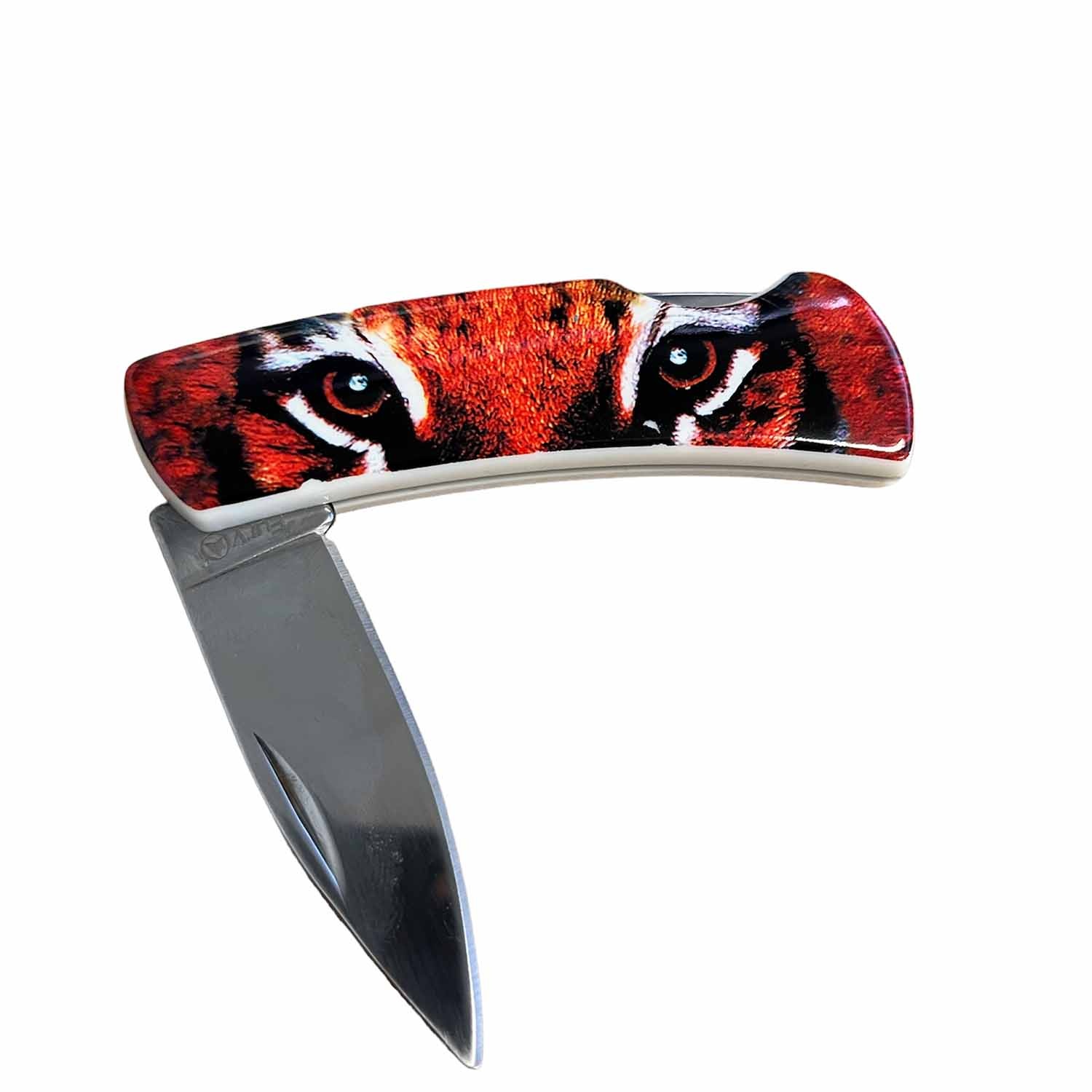 Animal Collector Folding Pocket Knife | Fury
